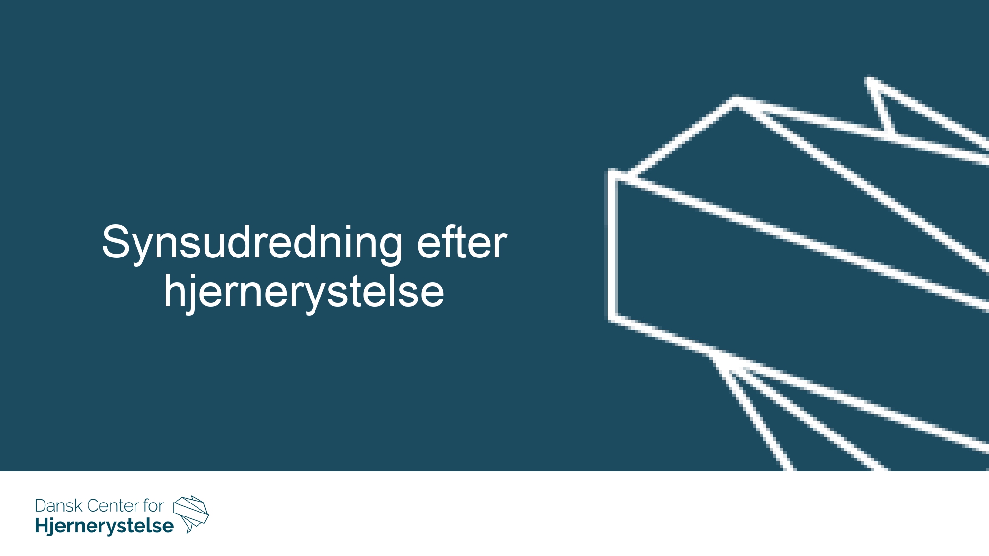 Anne Preisler - Hjernerystelsesforeningen